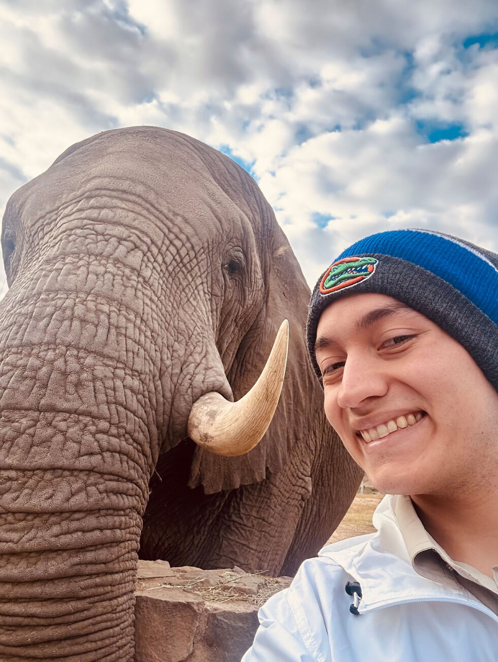 Veterinarian In Palm Beach Gardens, FL | Garden Park Animal Clinic